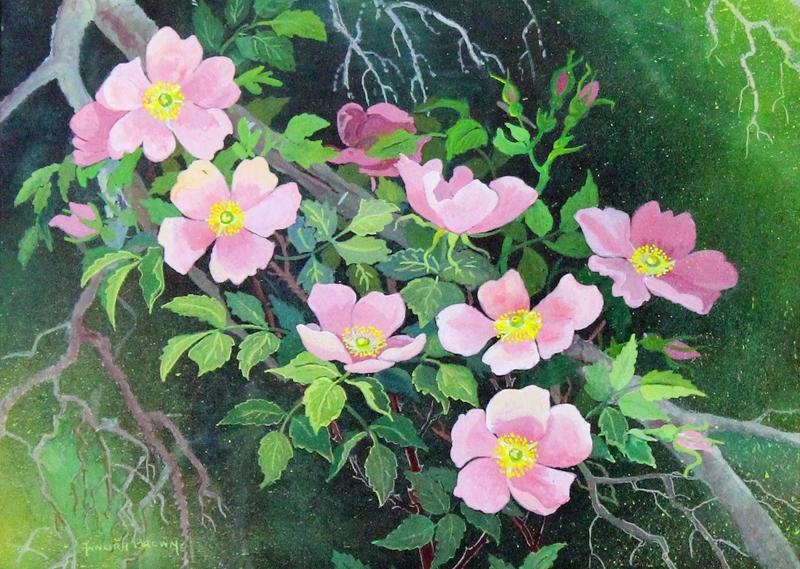 Annora Brown | ALBERTA WILD ROSE | MutualArt