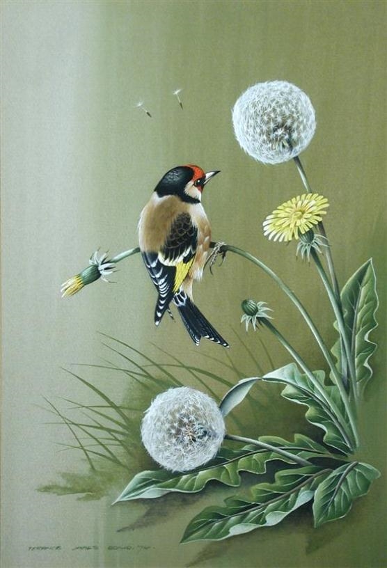 Terence James Bond | Study of a goldfinch (1974) | MutualArt