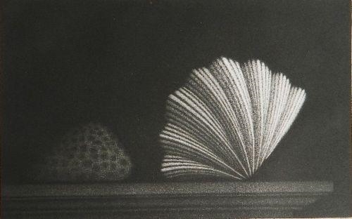 Leonard Marchant | Pratt Shell | MutualArt