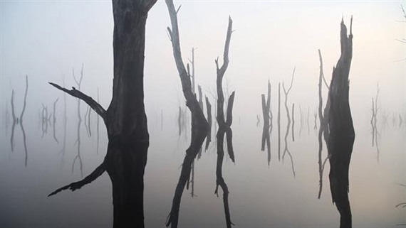 David Stephenson and Martin... | Exhibitions | MutualArt