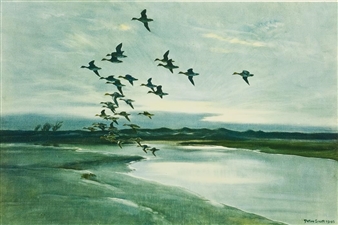 Sir Peter Markham Scott | Mallard Alighting | MutualArt