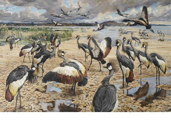 Harry Hamilton Johnston | 6 Artworks | MutualArt