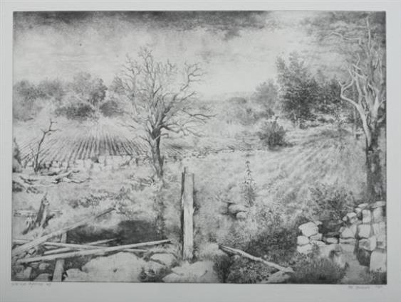 Tom Edwards | Flint Hills Landscape (1981) | MutualArt