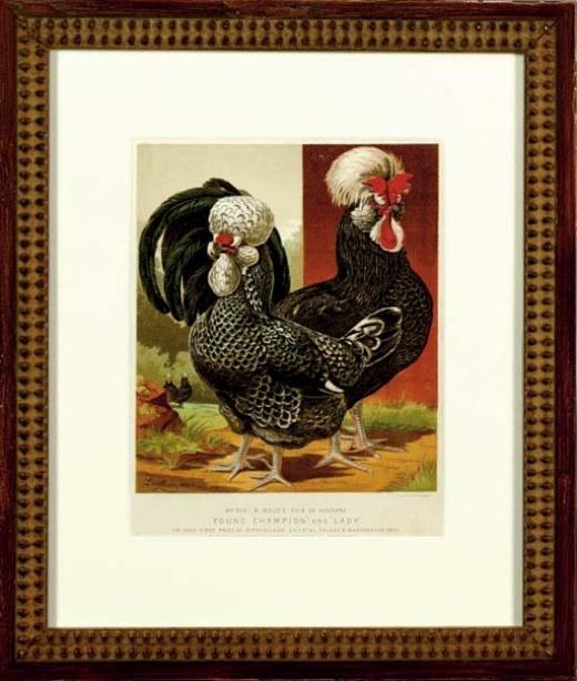 William Rutledge | 6 works; The Illustrated Book of Poultry (1880 ...