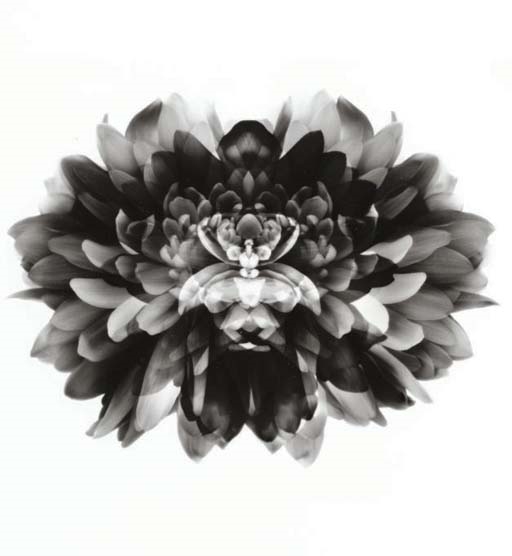 Nicholas Callaway | 7 Artworks at Auction | MutualArt
