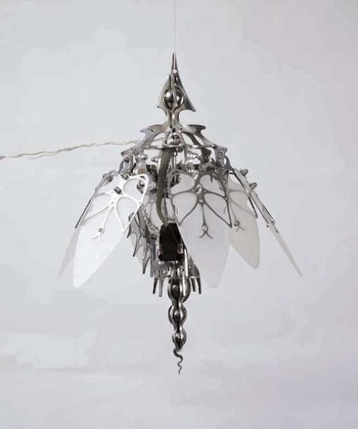 U Ram Choe | Urbanus Male Larva (Scientific Name: Anmopista Volaticus ...