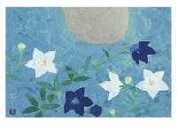 Eizo Kato | Moon | MutualArt