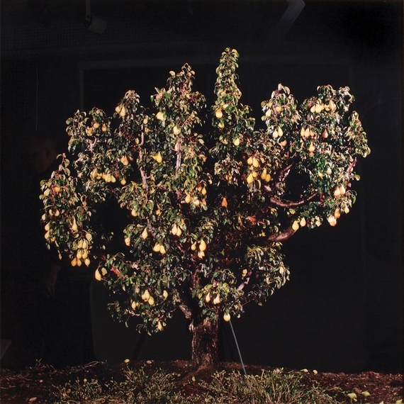 Tal Shochat | 25 Artworks at Auction | MutualArt