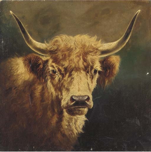 William Perring Hollyer | The head of a Highland cow | MutualArt