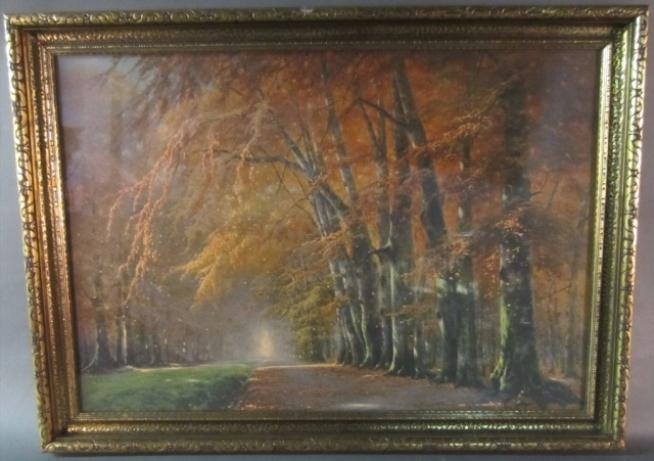 Carl G. Oncken | Forest | MutualArt