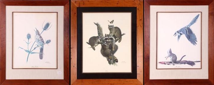 Ray Harm | 3 Works: Blue Jay; Brown Thrasher; Raccoon Procyon Lotor ...