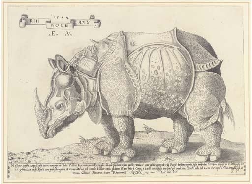 Albrecht Dürer | A Rhinoceros (1515) | MutualArt