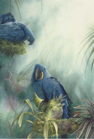 Andrew Charles I. Benfield | 1 Artworks at Auction | MutualArt