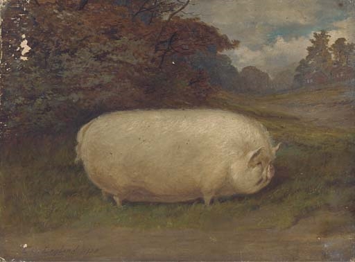 E.S. England | A prize sow (1900) | MutualArt