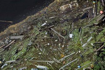 Miles Coolidge | 27 Artworks at Auction | MutualArt