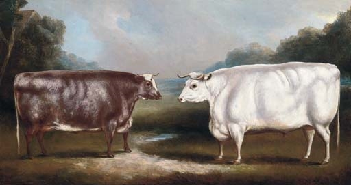 William Henry Davis | A prize heffer and a prize cow (1856) | MutualArt