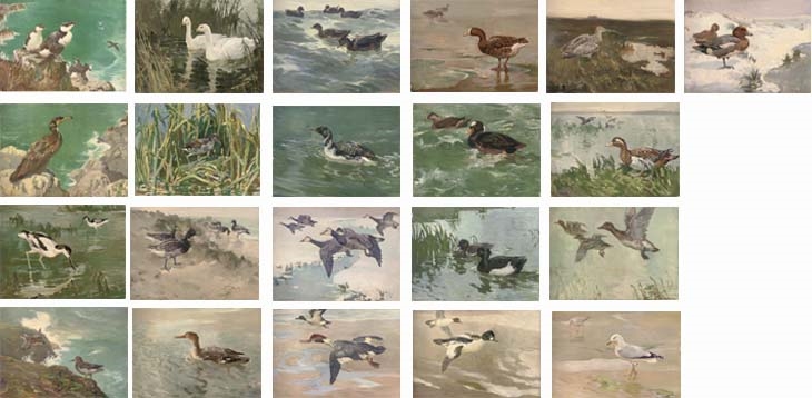 Charles Walter Simpson | Gulls on sea cliffs | MutualArt