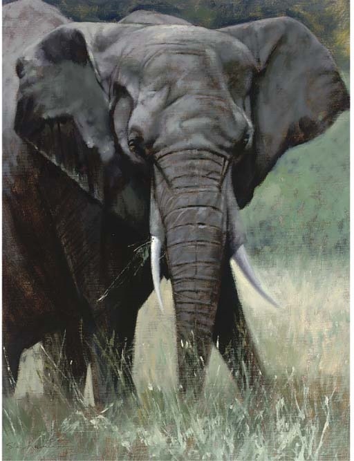 Stan Kaminski | Strolling jumbo | MutualArt