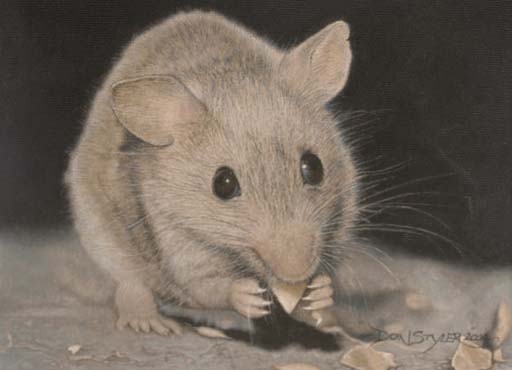 Don Styler | A hungry field mouse (2004) | MutualArt