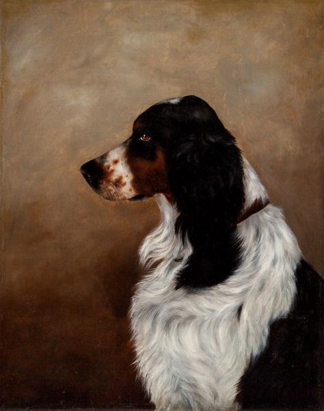 British School, 19th Century | Tri-Color English Setter | MutualArt