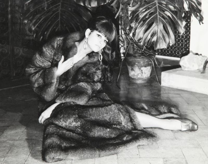 Angelo Frontoni | Claudia Cardinale (1960) | MutualArt