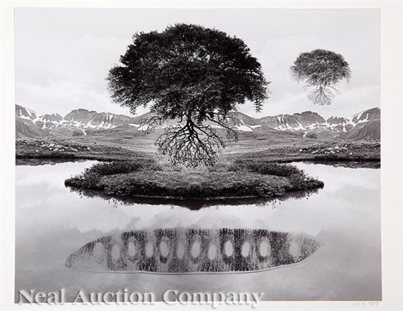 Jerry Uelsmann | Untitled: Floating Trees (1969) | MutualArt