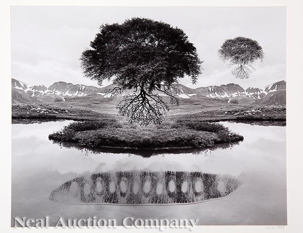 Jerry Uelsmann | Untitled: Floating Trees (1969) | MutualArt