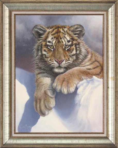 Colin Richens | Siberian Tiger Cub | MutualArt