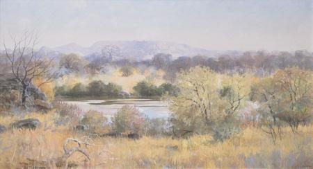 Paul Wiles | Landscape, Sunset bushveld vista | MutualArt