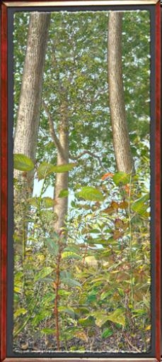 Jim Wainscott | 3 Artworks | MutualArt