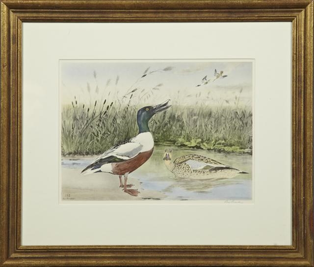 Rex Brasher | Male and Female Mallards (20th Century) | MutualArt