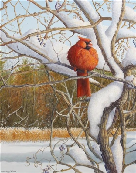 Jonathan Wilde | Cardinal in Winter (1982) | MutualArt