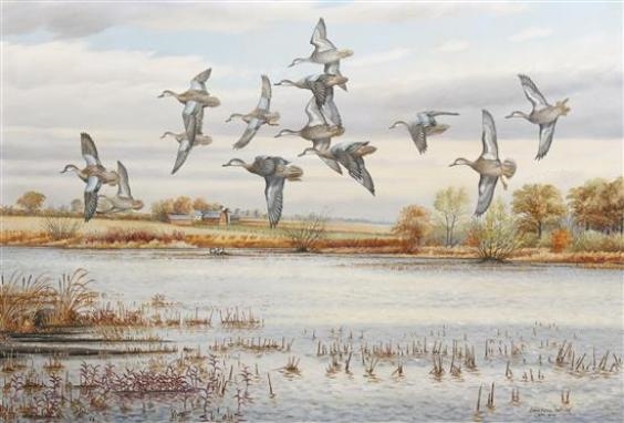 Jonathan Wilde | Ducks in Flight (1977) | MutualArt