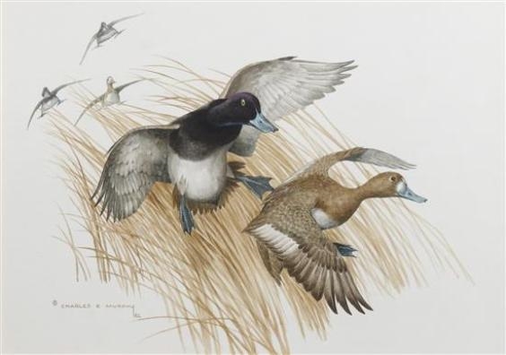 Charles E. Murphy | Art Auction Results