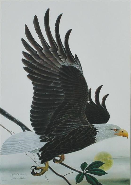 John Ruthven | BALD EAGLE | MutualArt