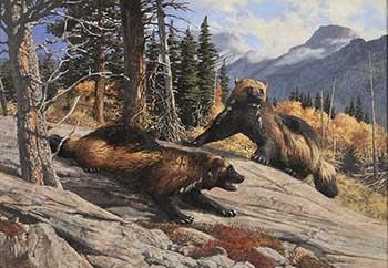 Tom Beecham | Double Trouble | MutualArt