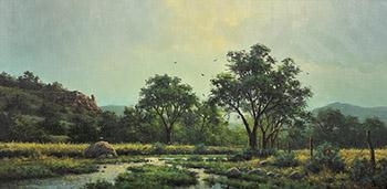 Michael Stack | Desert Rain | MutualArt