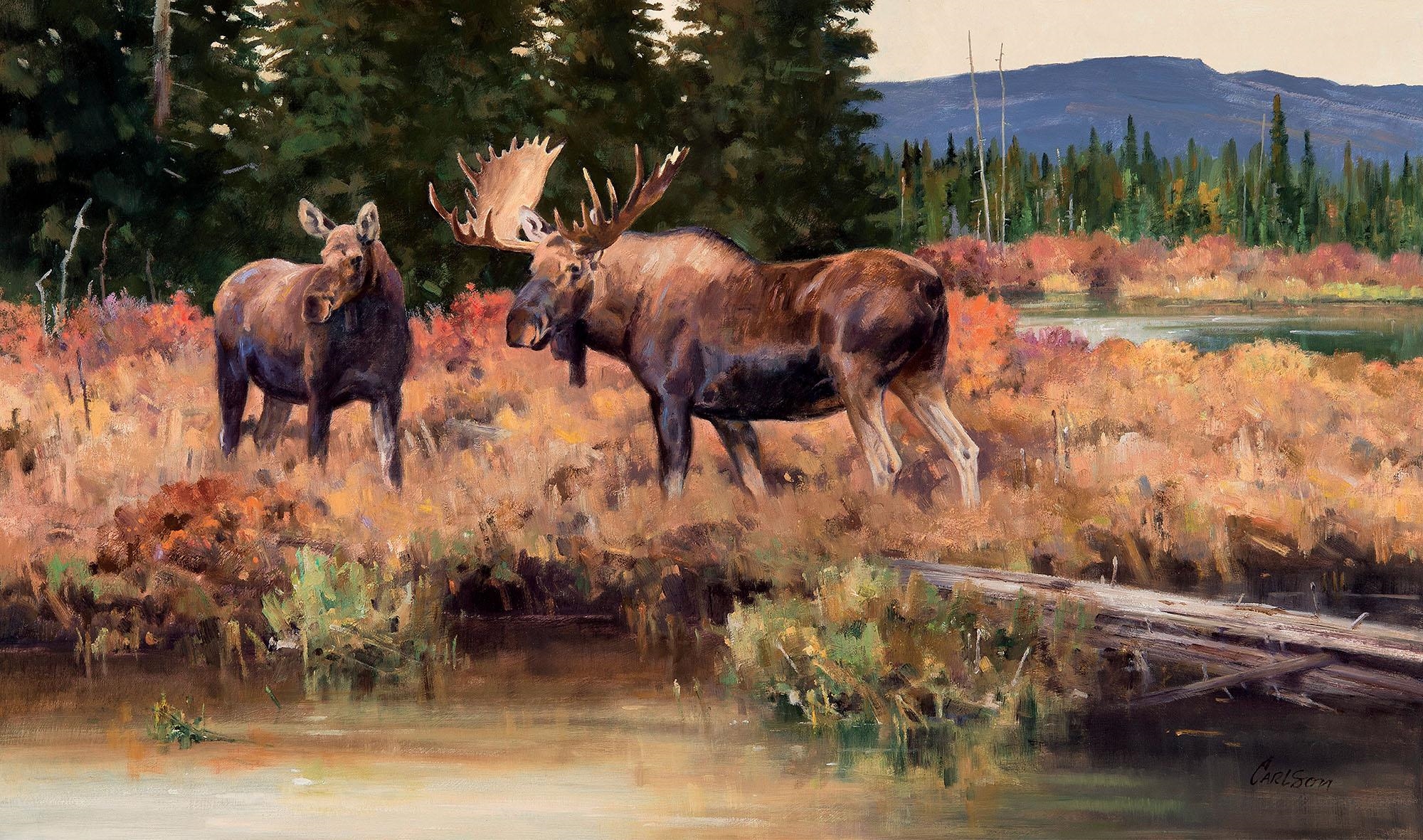 Ken Carlson | Moose Country | MutualArt