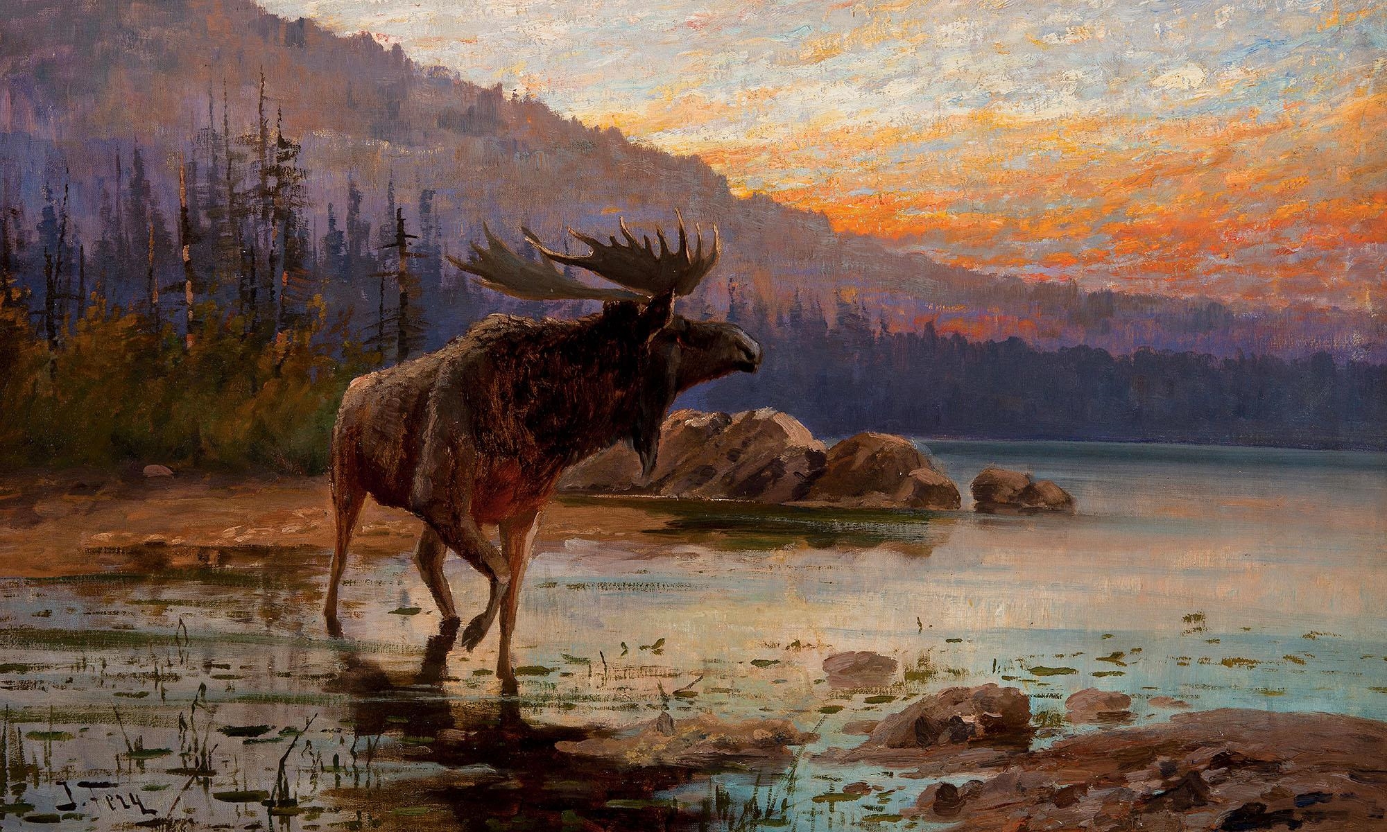 John Fery | Moose on Jackson Lake | MutualArt