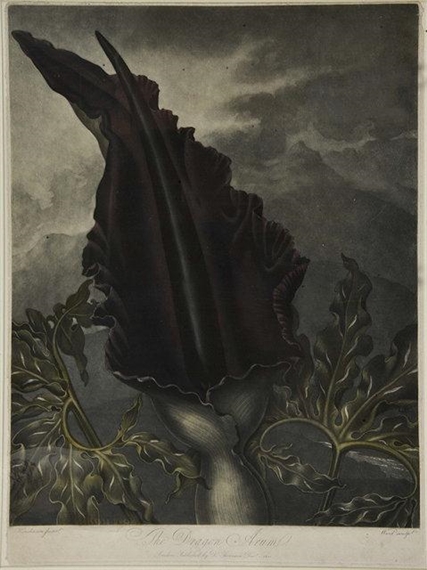 William Ward | Performance at Auction | MutualArt