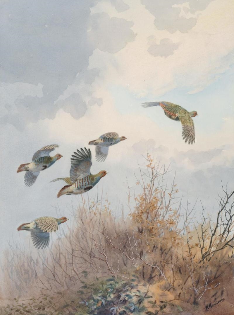 John Cyril Harrison | Partridge Rising to Clear the Hedge | MutualArt