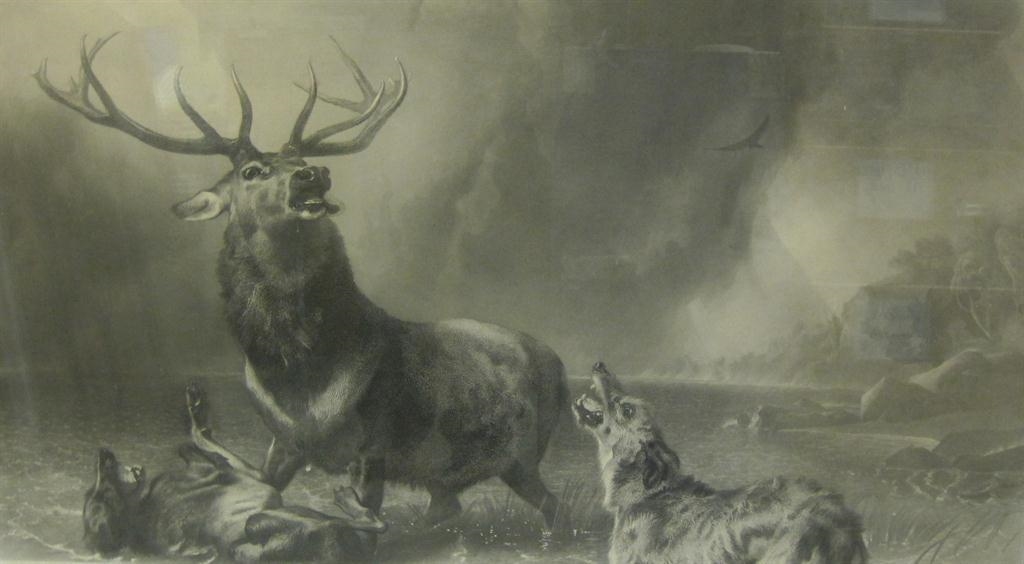 Edwin Landseer | The Stag at Bay (1857) | MutualArt
