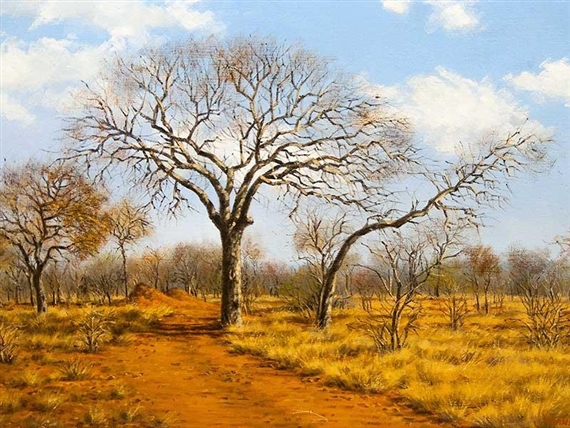 Johann Koch | Bushveld Landscape | MutualArt