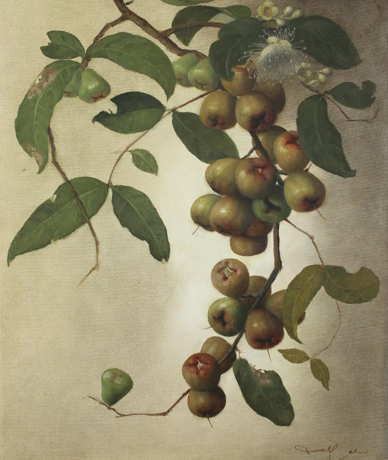 Dullah | STILL LIFE, JAMBU | MutualArt