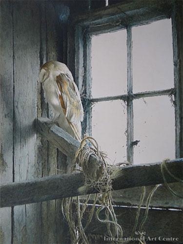 Raymond Harris Ching | Barn Owl | MutualArt