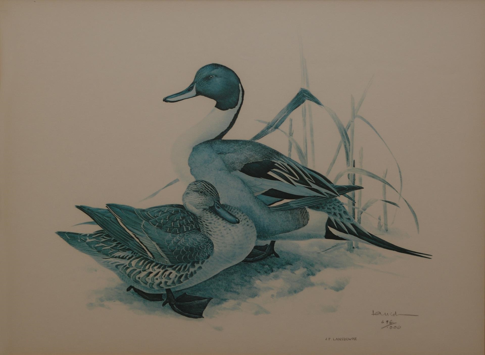 James Fenwick Lansdowne | Ducks | MutualArt