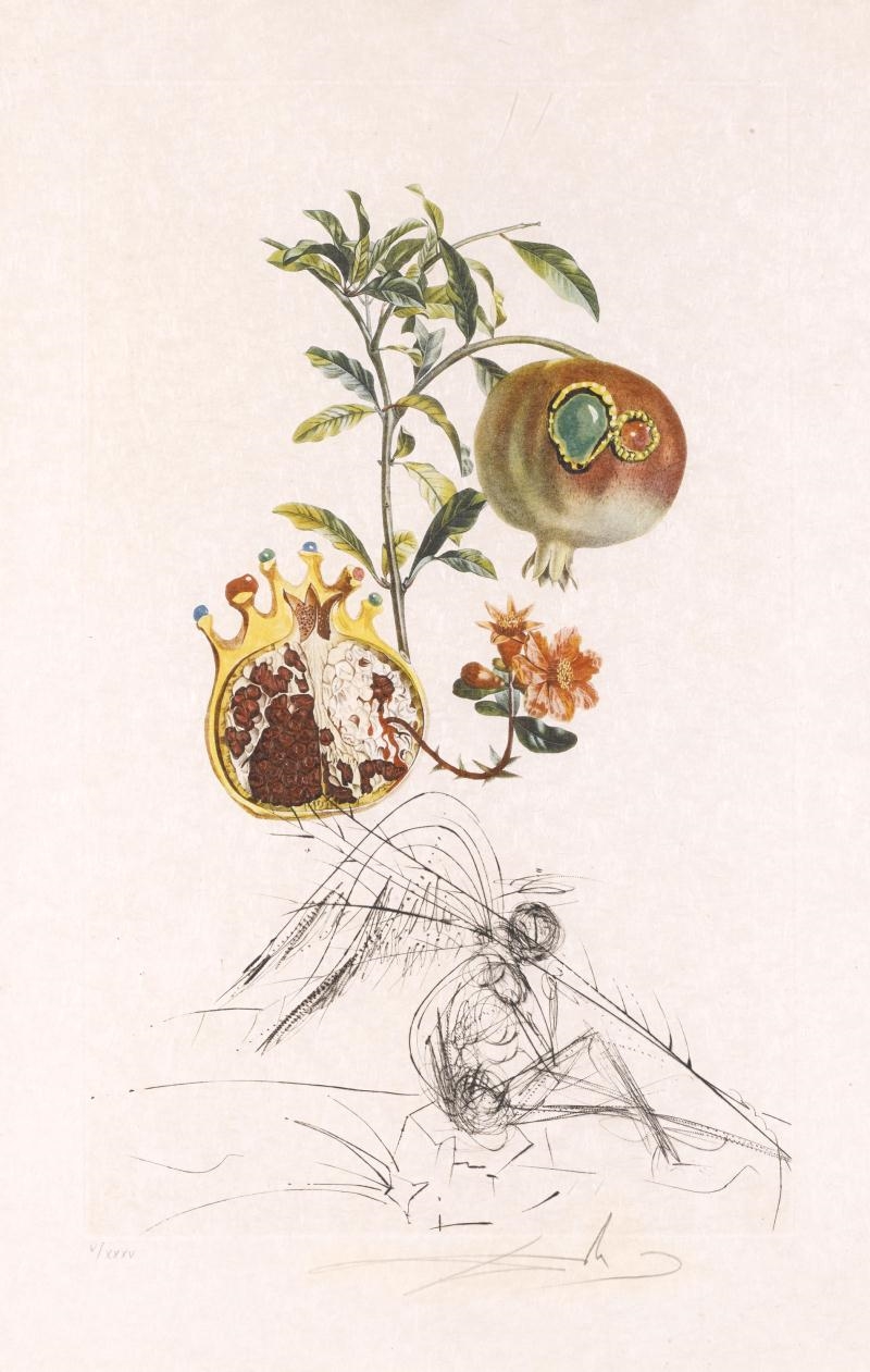 Salvador Dalí | Three Plates, from FlorDali (Les Fruits) (1969 - 1970 ...