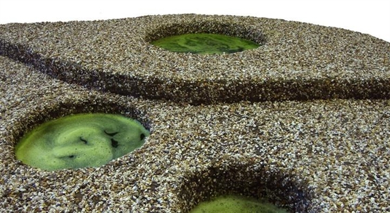 Rachel Champion | Artist Overview | MutualArt