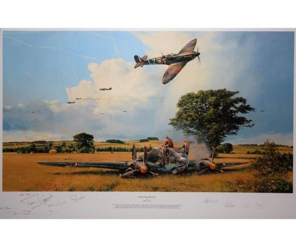 Robert Taylor | Steinhoff Tribute | MutualArt