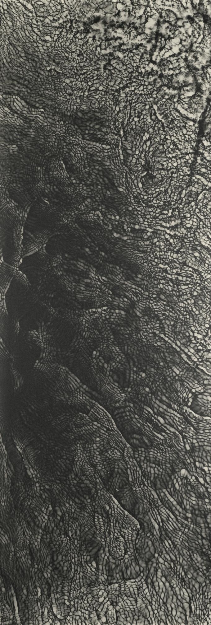 Susan Derges | River Taw, 1998 (1998) | MutualArt